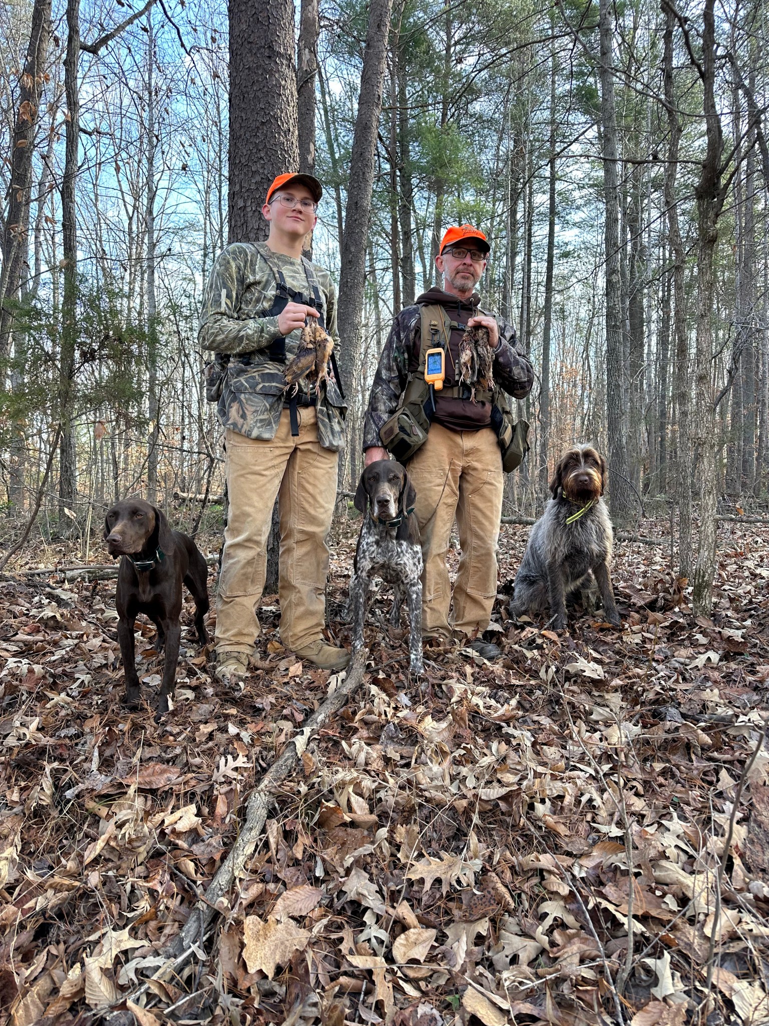 Bluestem Kennels | Home of hunting Wirehaired Pointing Griffons